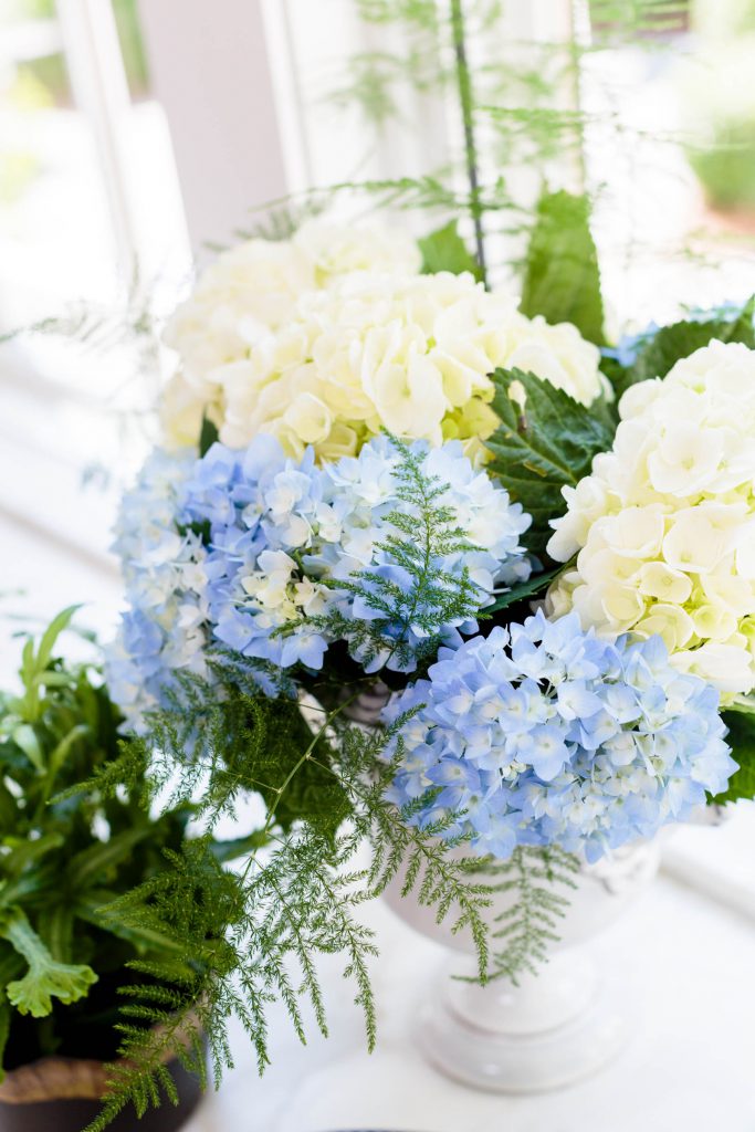 Historic Enlightenment - Todd Richesin